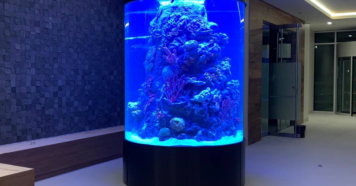 Expert Custom Aquarium Setup in Salt Lake City, UT